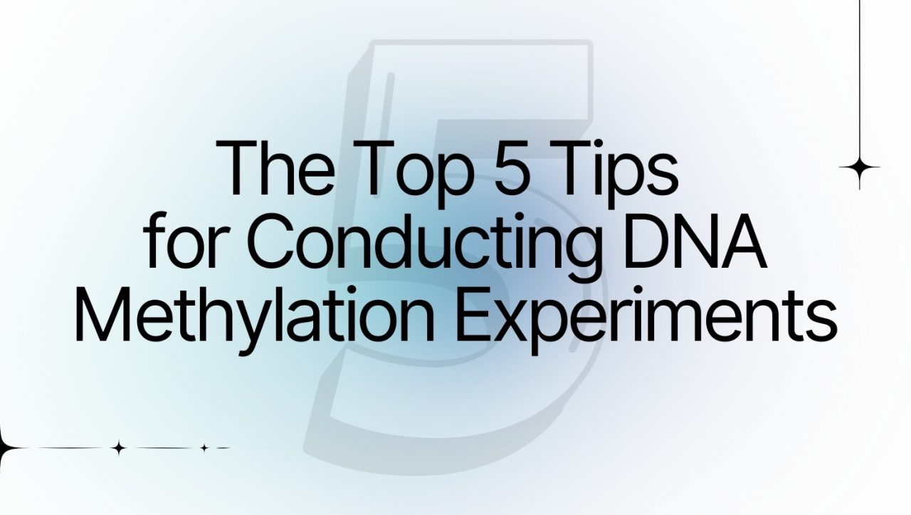 The Top 5 Tips for Conducting DNA Methylation Experiments | Ellis Bio